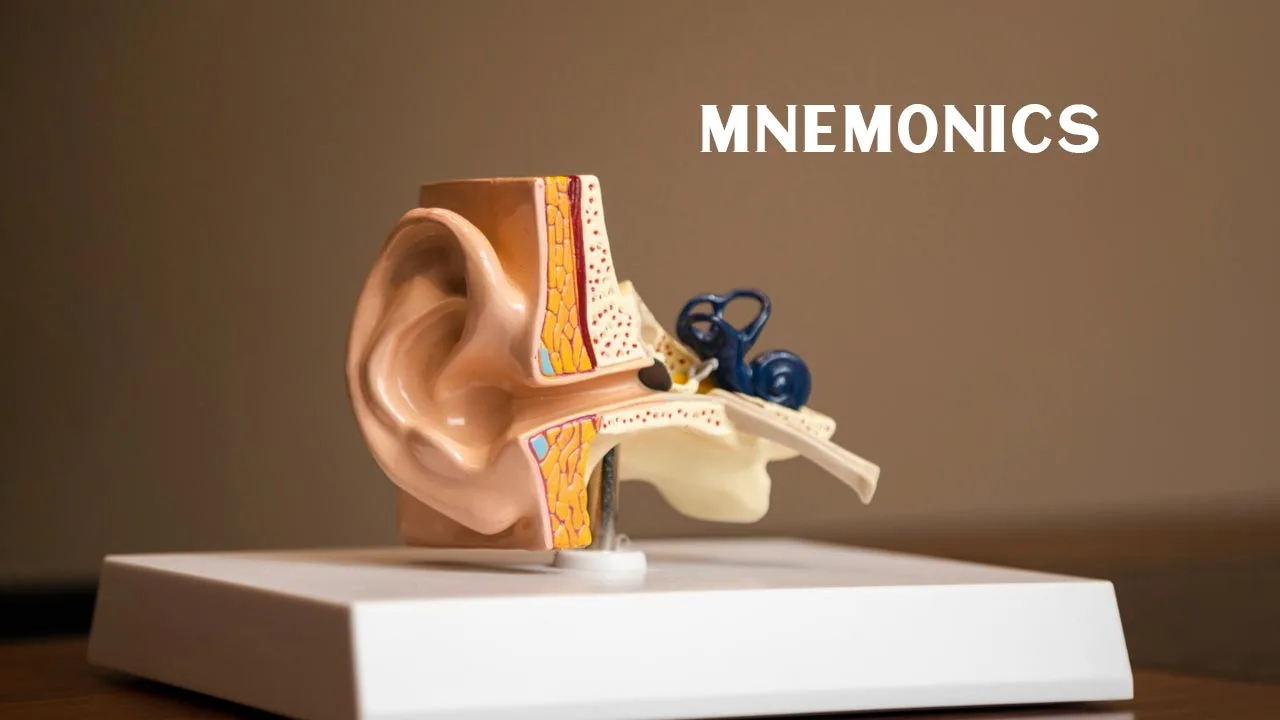 ENT Mnemonics – DMA Edu