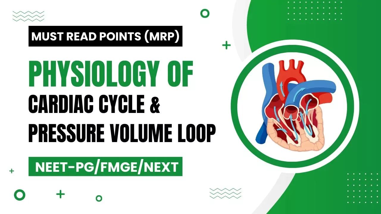 Cardiac Cycle & Pressure Volume Loop – DMA Edu
